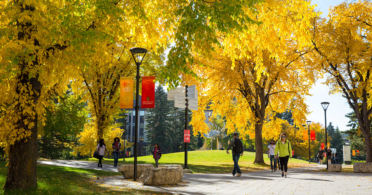 Undergraduate Student Resources | University of Calgary Library